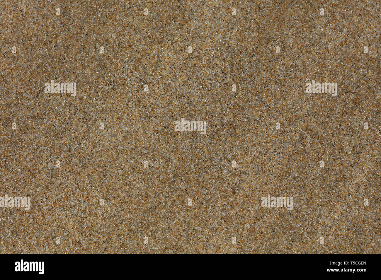 Background sandy beach sand grain of sand Stock Photo - Alamy