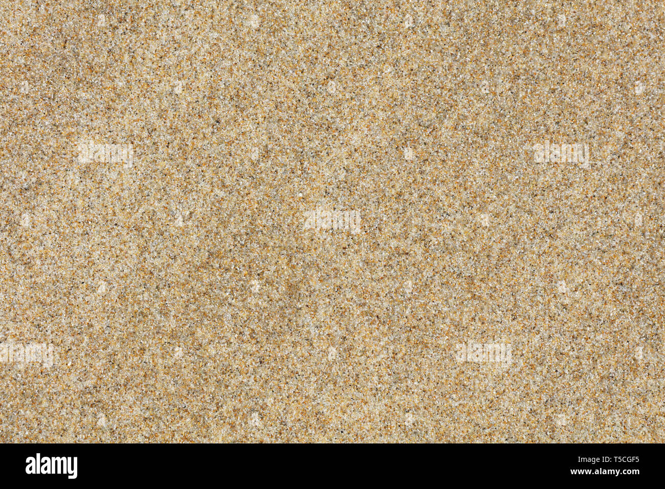 Background sandy beach sand grain of sand Stock Photo - Alamy