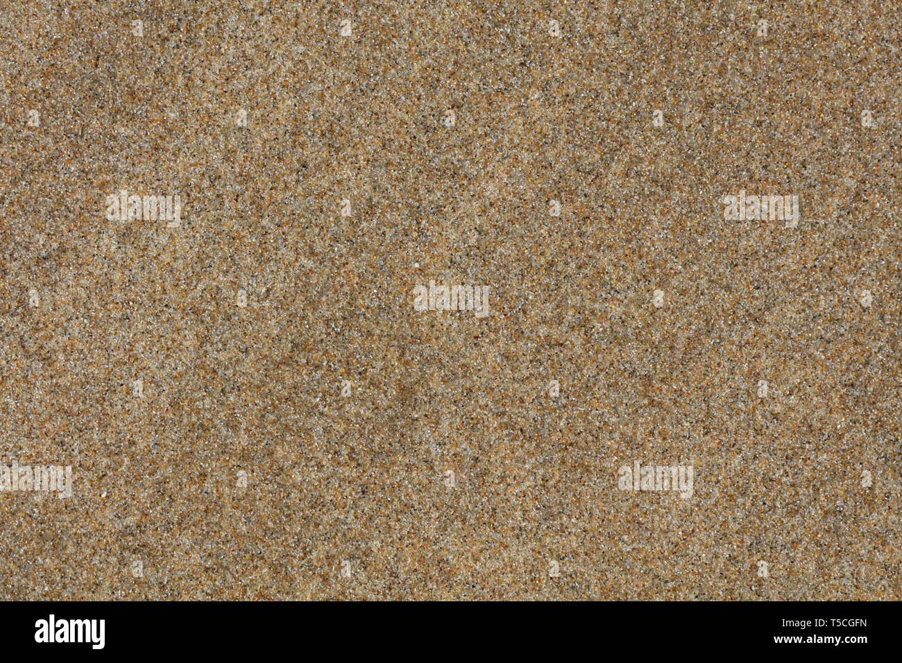 Background sandy beach sand grain of sand Stock Photo - Alamy