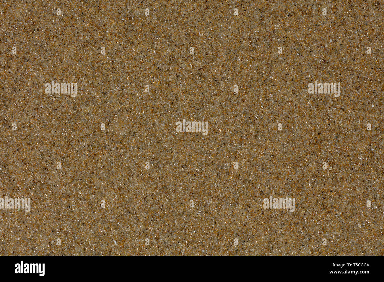Background sandy beach sand grain of sand Stock Photo - Alamy