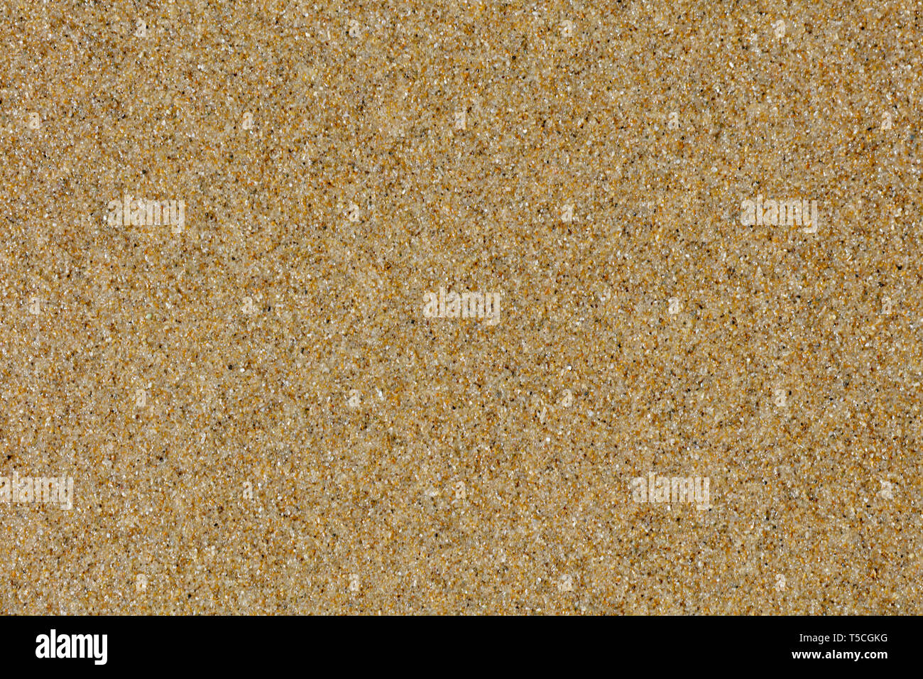 Background sandy beach sand grain of sand Stock Photo - Alamy