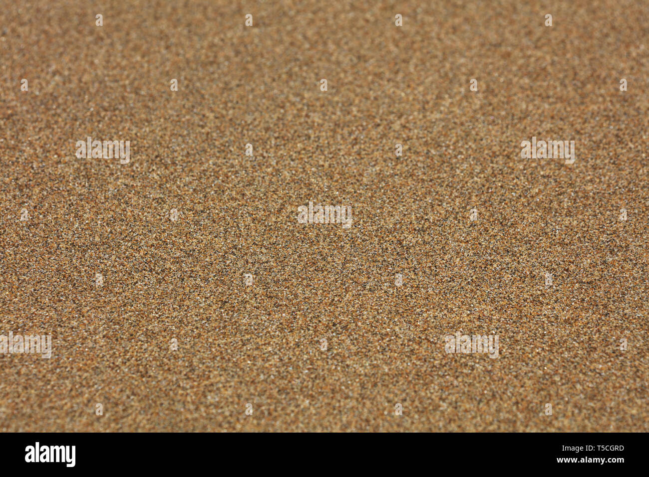 Background sandy beach sand grain of sand Stock Photo - Alamy