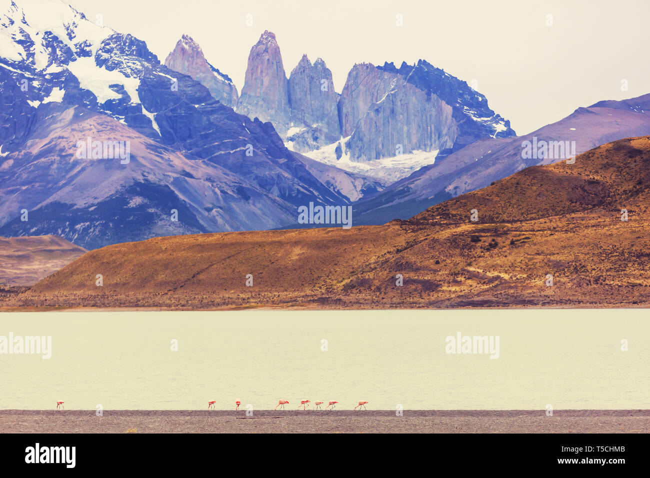 Beautiful mountain landscapes in Torres Del Paine National Park, Chile ...