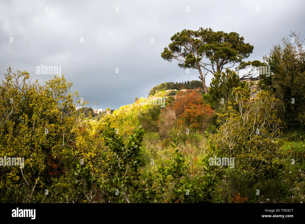This is a capture of a landscape taken in Lebanon during spring 2019 ...