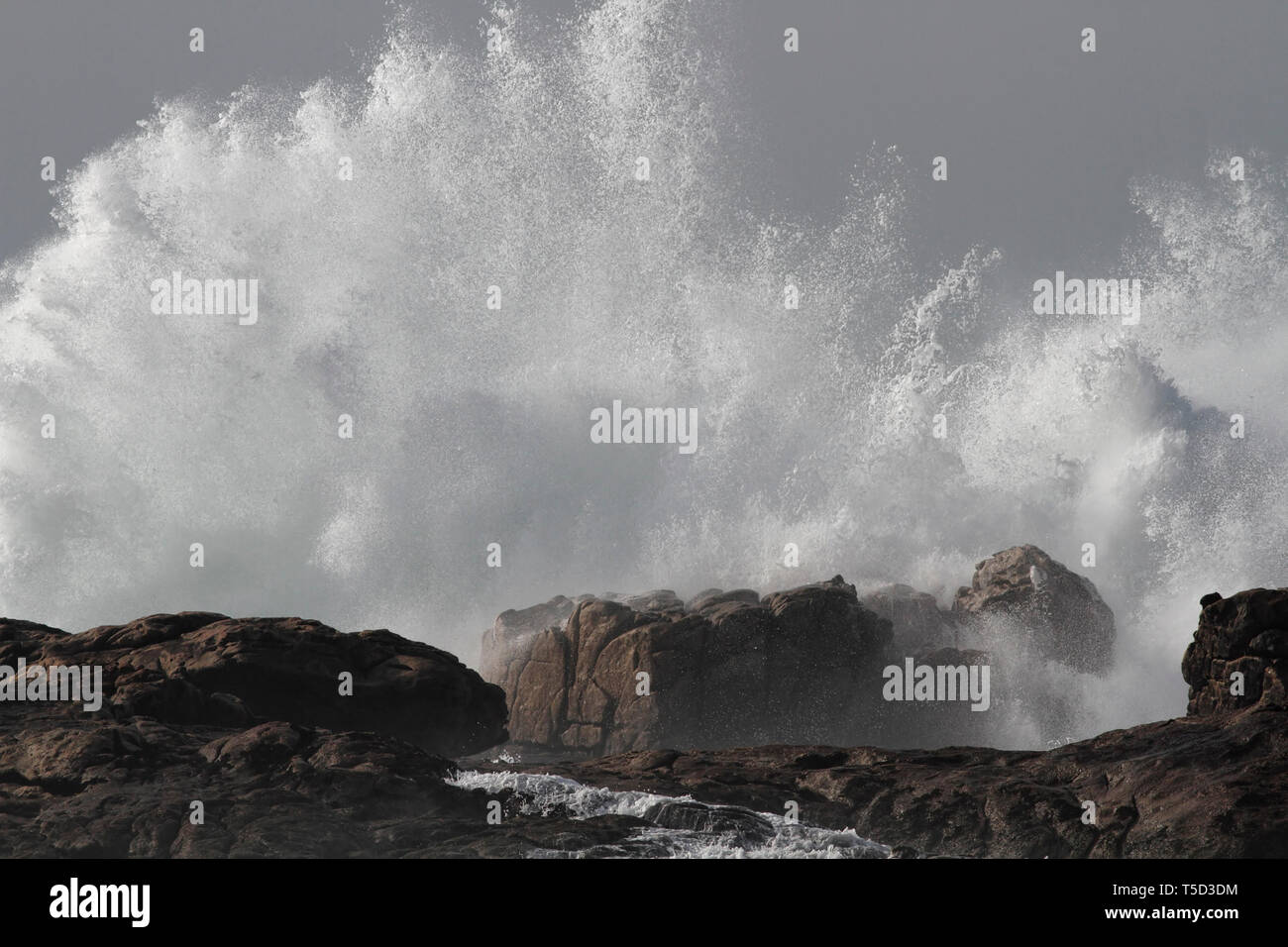 Sunny big splash from waves crashing against sea rocks Stock Photo - Alamy