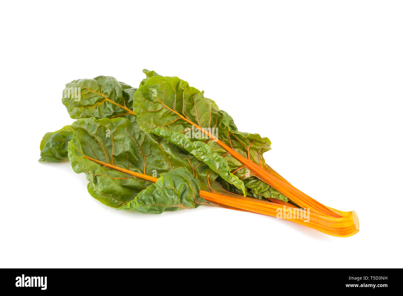 Fresh swiss chard isolated on white background Stock Photo - Alamy