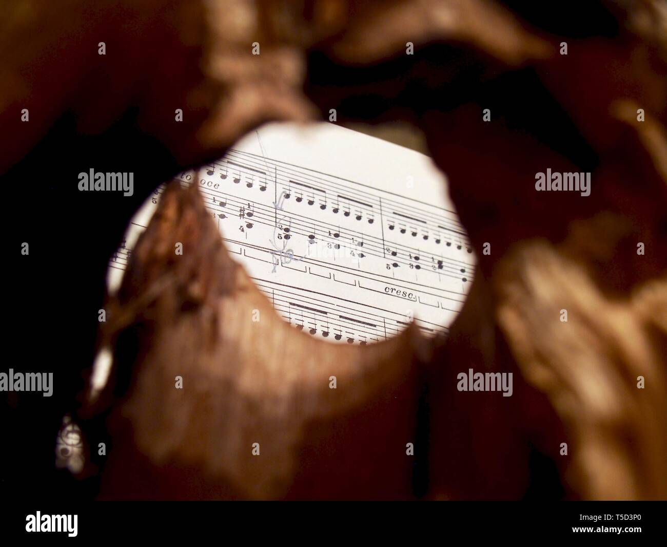 Old paper of sheet music for classical piano Stock Photo - Alamy