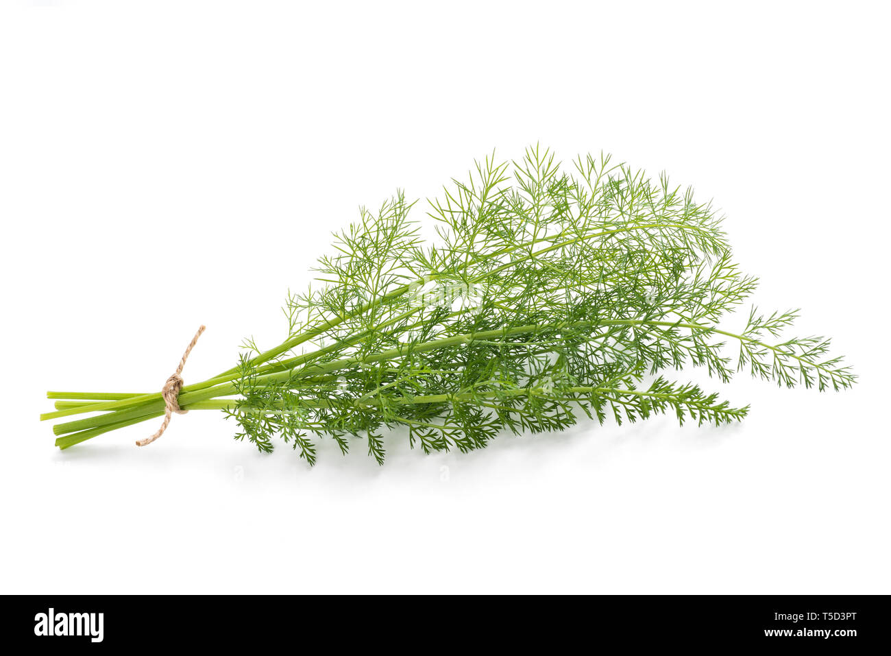 Wild fennel bunch isolated on white background Stock Photo - Alamy
