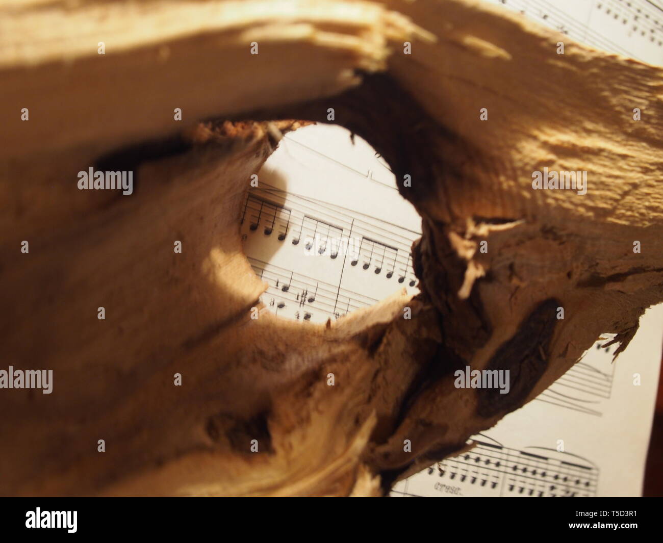 Classical hymn hi-res stock photography and images - Alamy