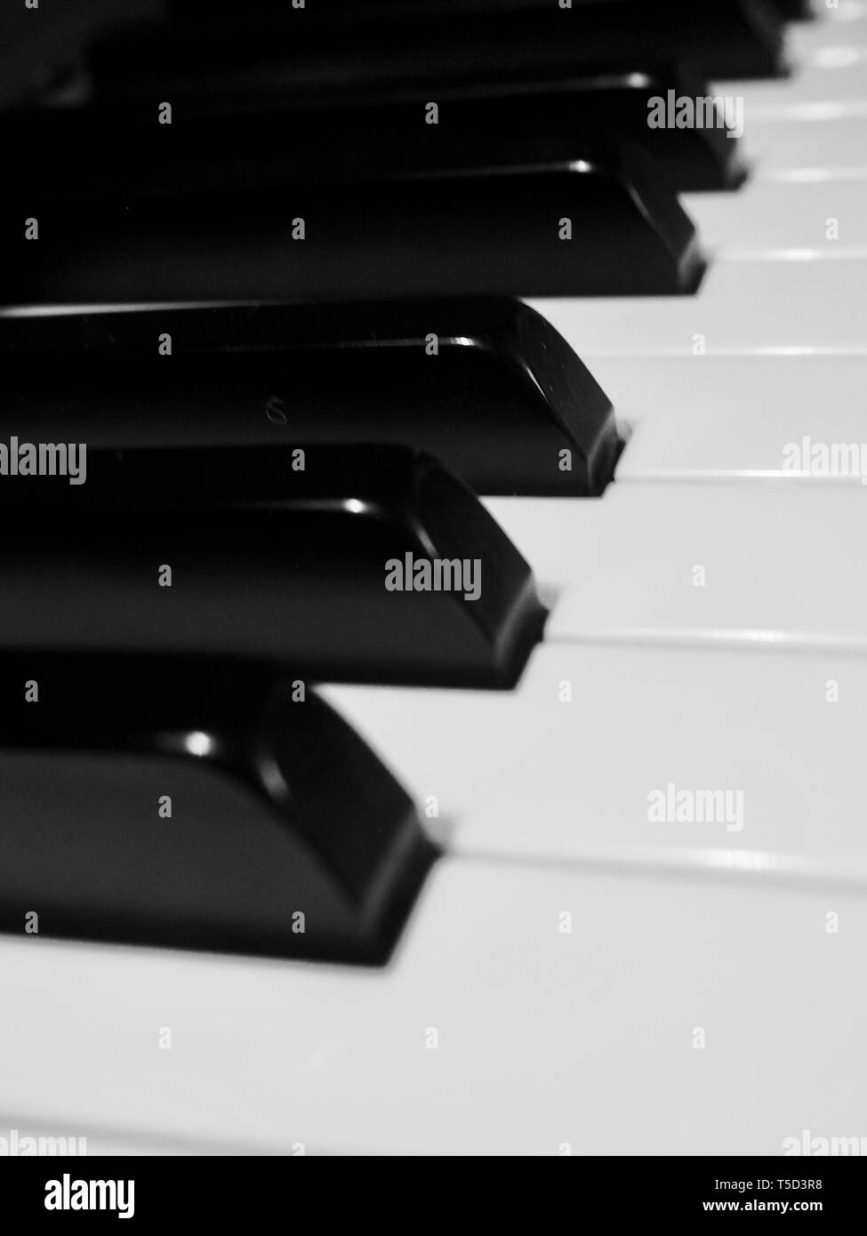 Classical musical instruments Black and White Stock Photos & Images - Alamy