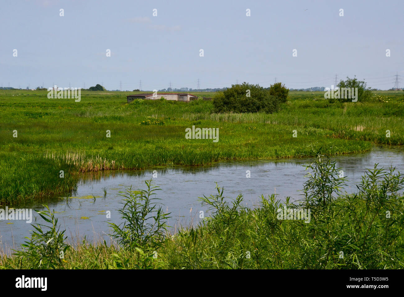 WWT Welney Wetland Centre, Wisbech, Cambridgeshire, England, UK Stock ...