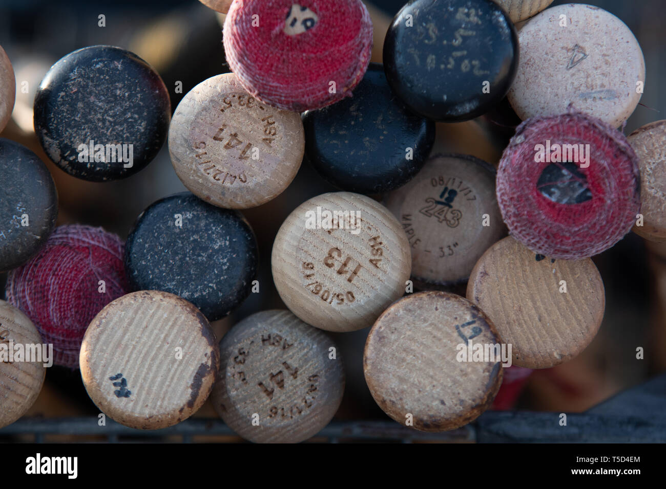 Bunch of wooden bats barrel down Stock Photo - Alamy