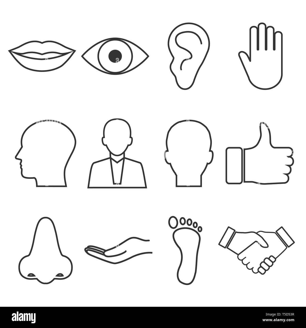 Human Body Parts Black and White Stock Photos & Images - Alamy