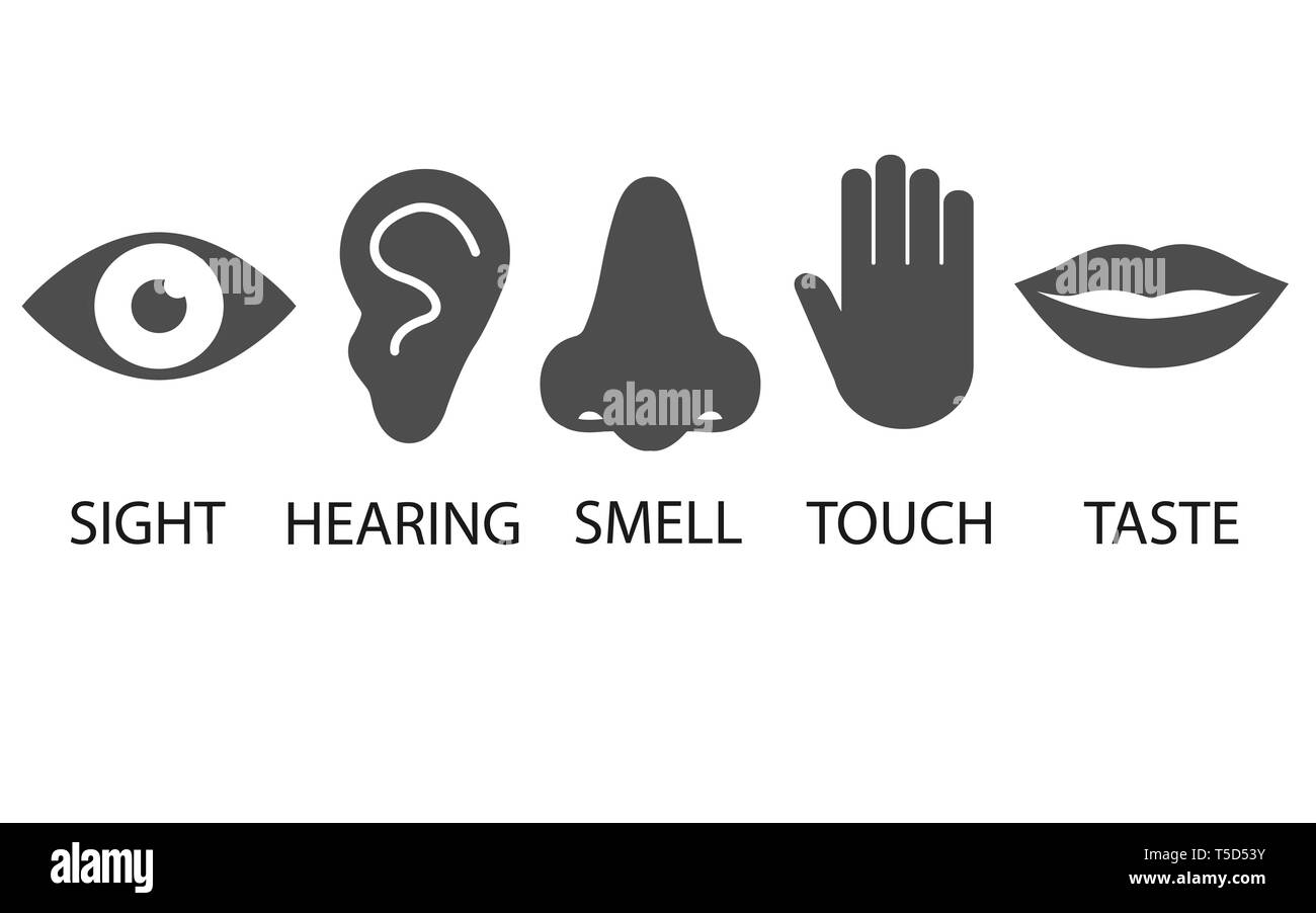 Senses vector vectors hi-res stock photography and images - Alamy