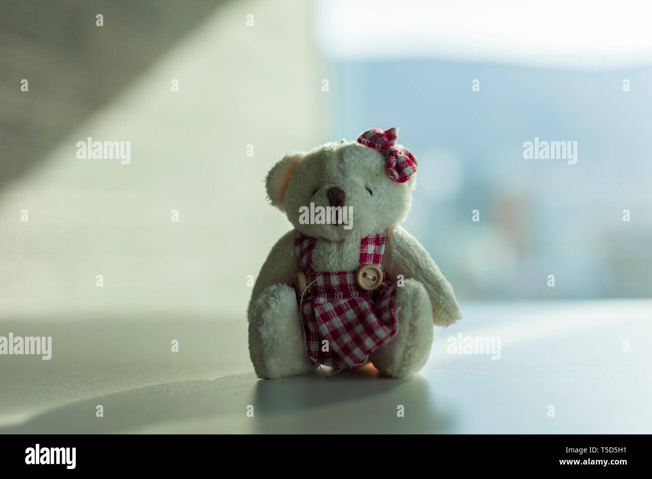 Little teddy bear sitting on a table Stock Photo - Alamy