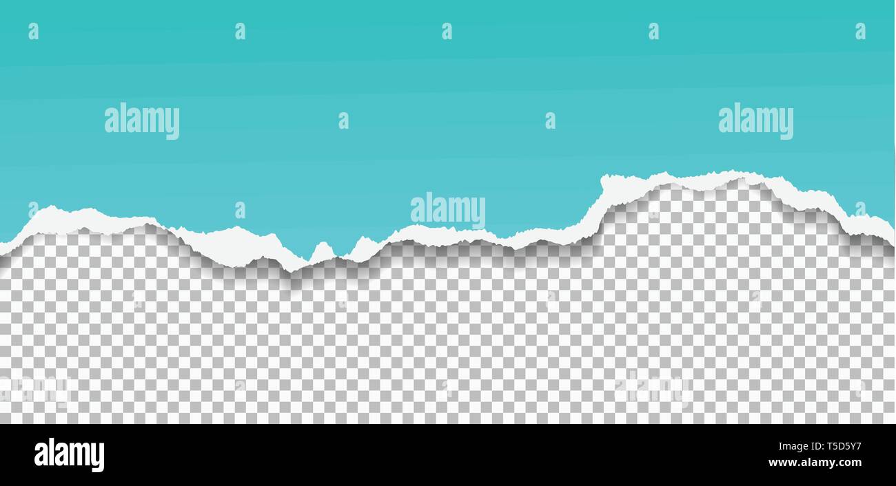 Torn turquoise horizontal paper strip with soft shadow is on squared ...