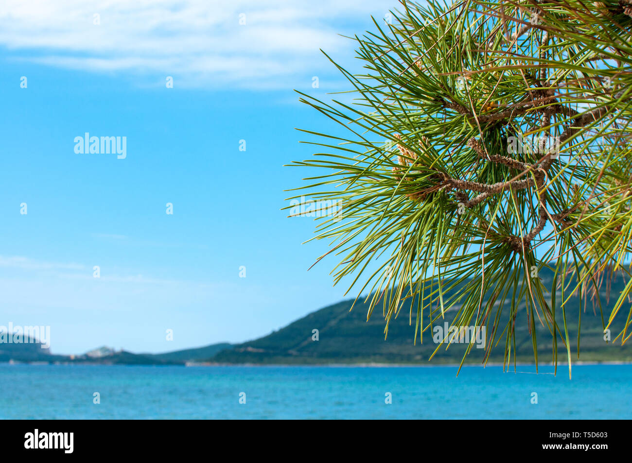 Mugoni beach in alghero hi-res stock photography and images - Alamy