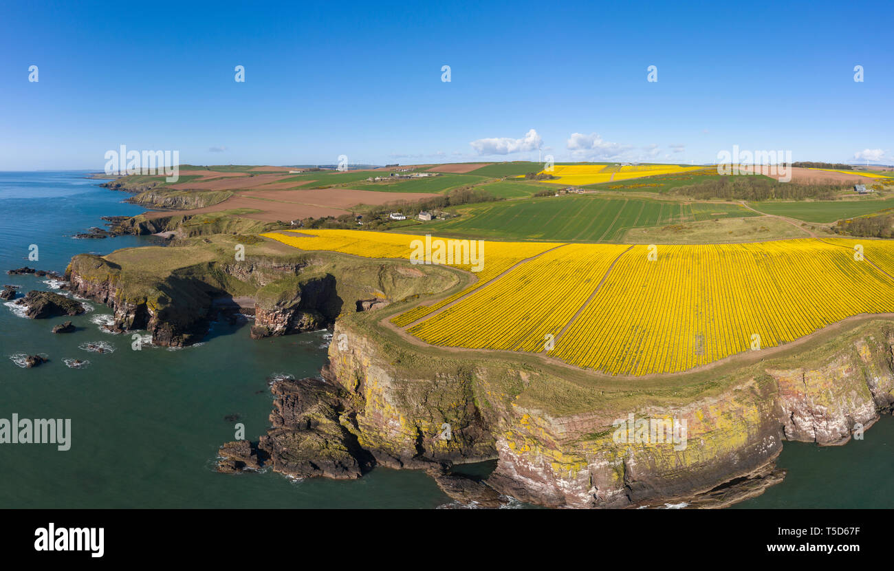 Kinneff Old Church High Resolution Stock Photography and Images - Alamy