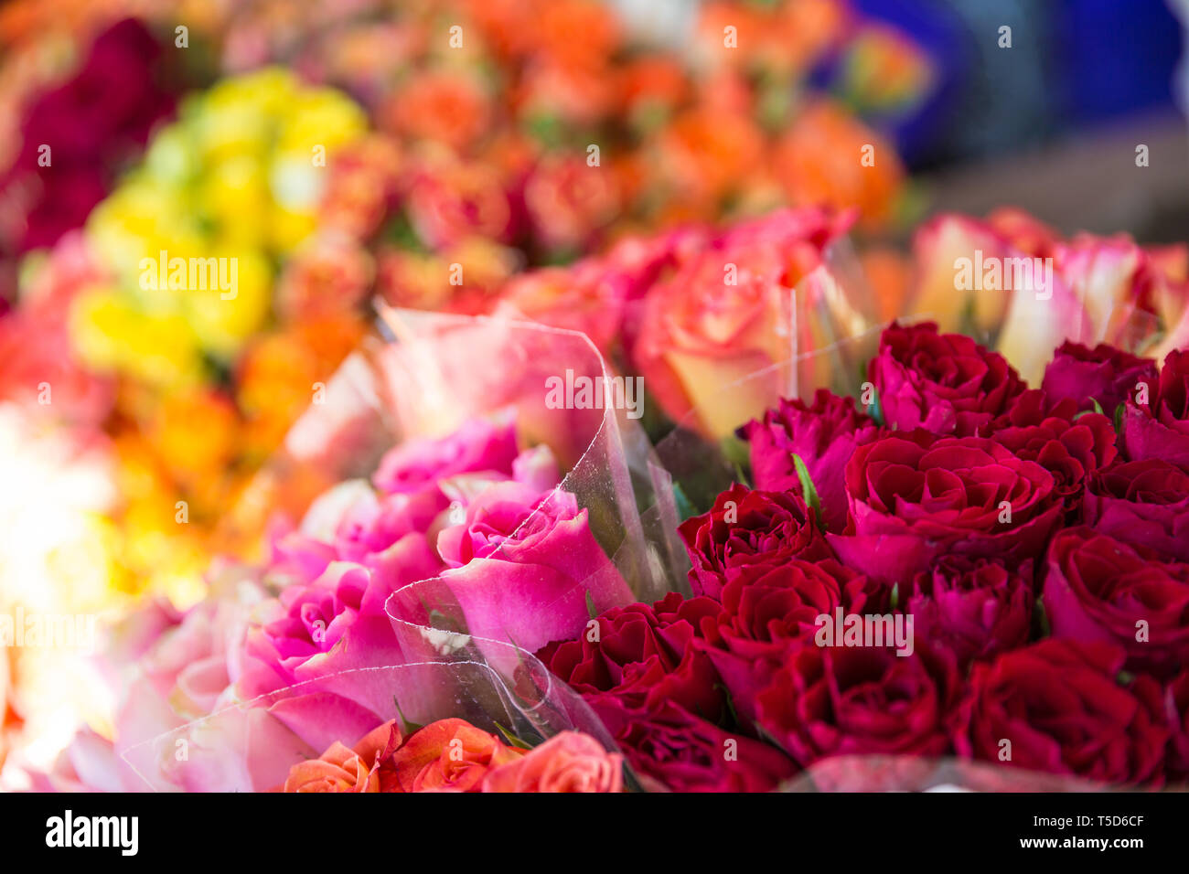 Photo of flower bazaar for graphic and web design, for website or ...
