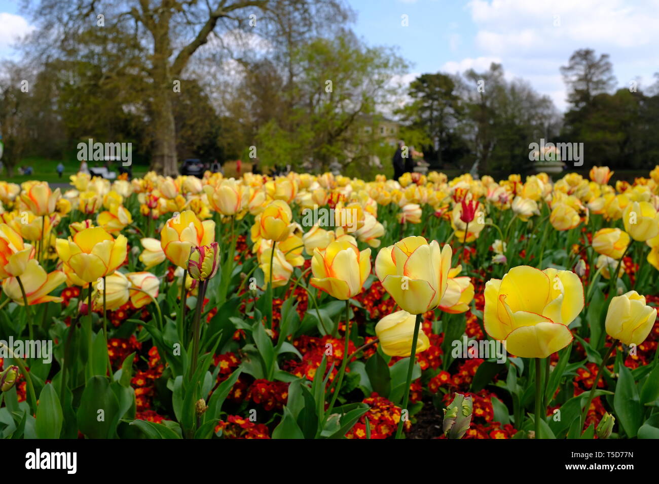 Grass gardens kew hi-res stock photography and images - Alamy