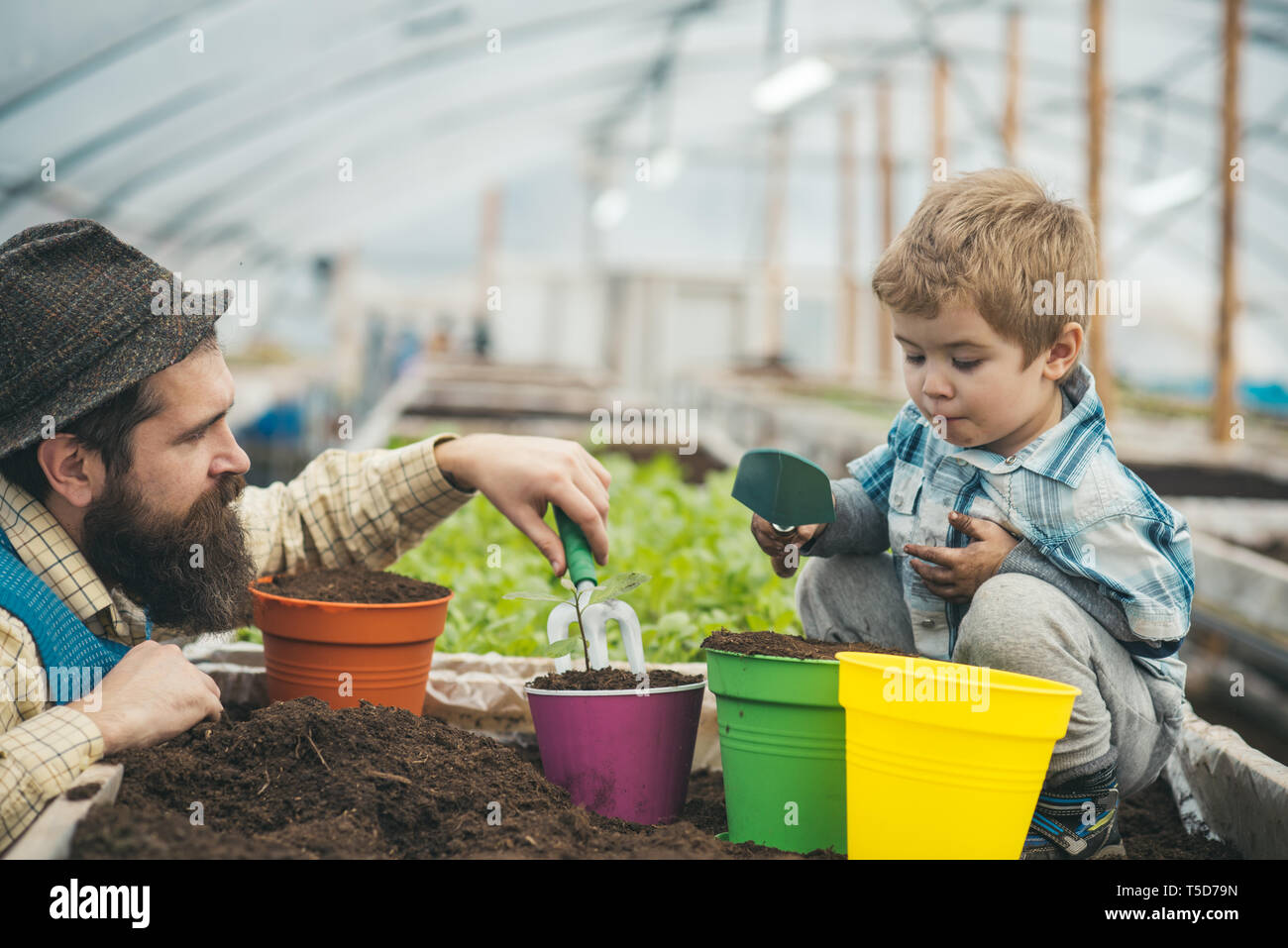 soil quality and farming. modern farming on good soil quality. great ...