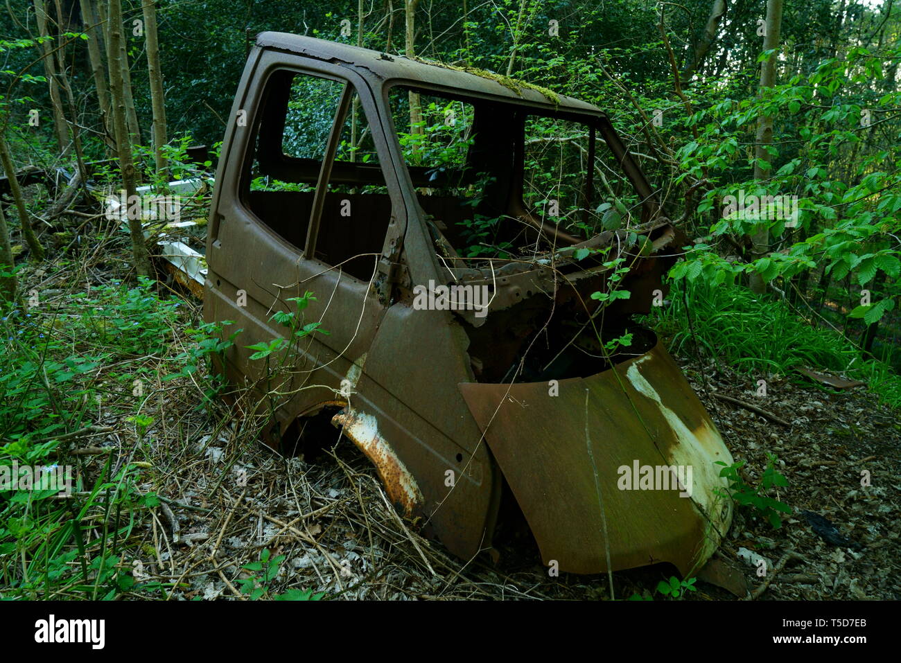 Abandoned Ford Transit truck rusting in woodland Stock Photo - Alamy