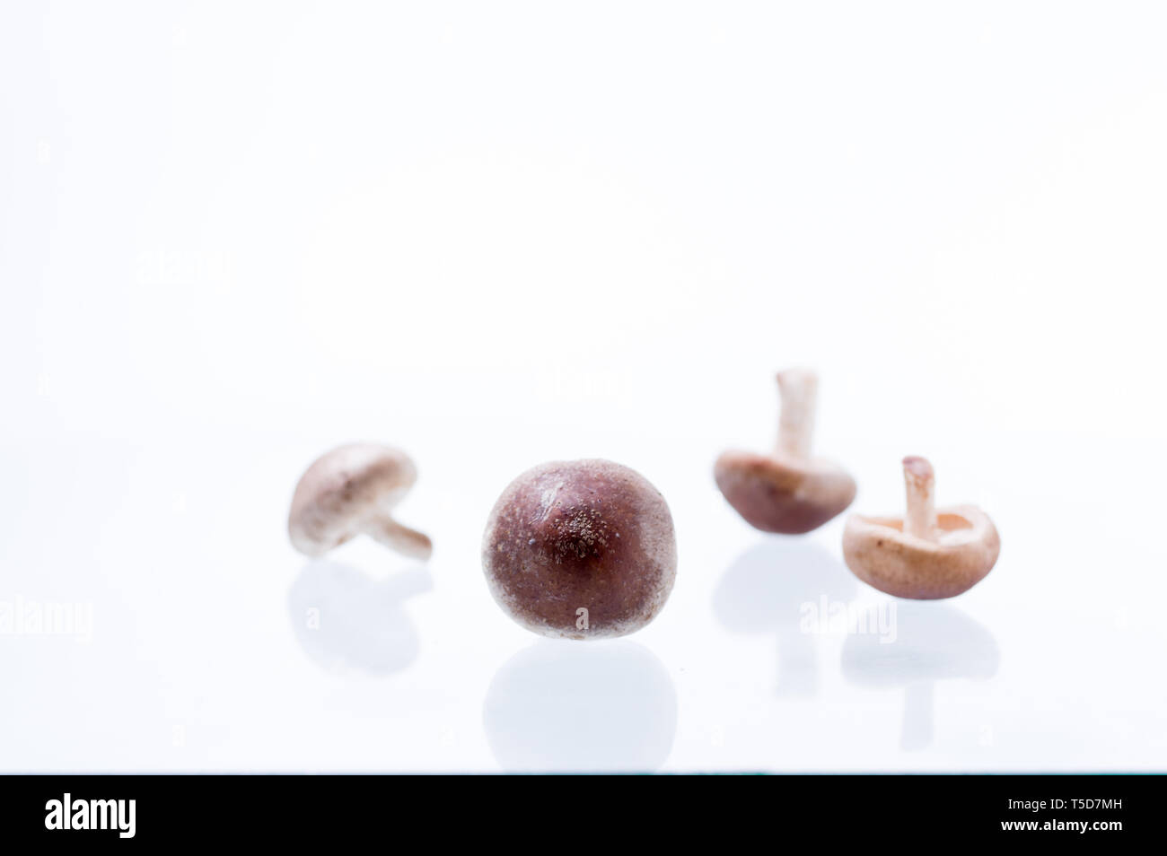 Inverted mushroom hi-res stock photography and images - Alamy