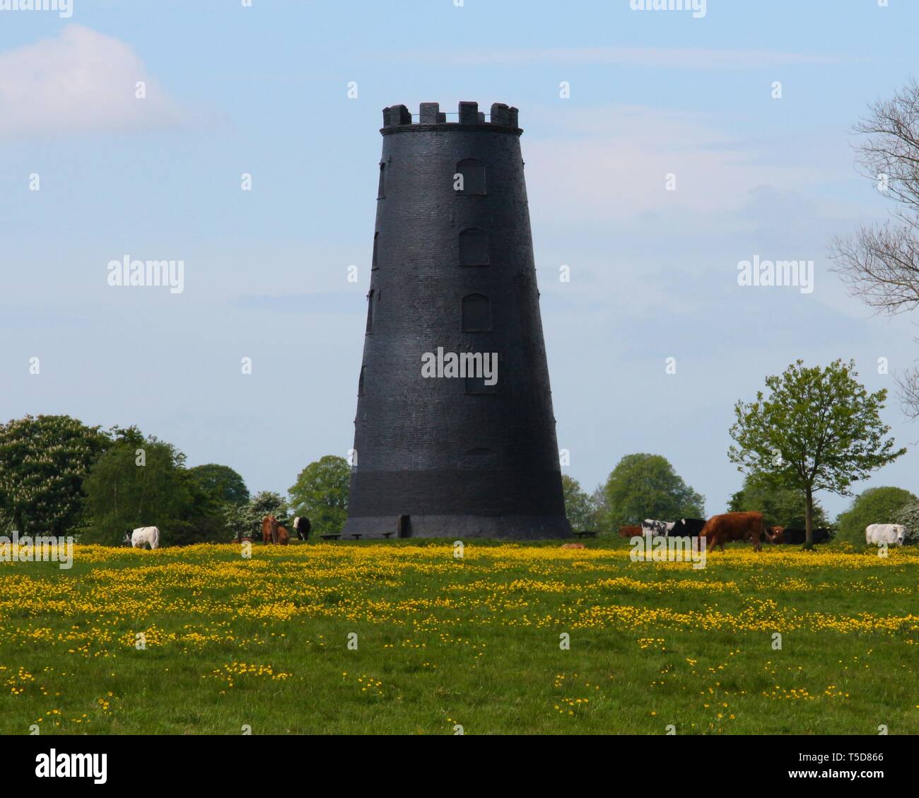 Beverley common hi-res stock photography and images - Alamy