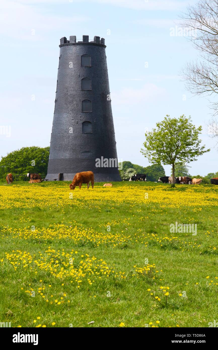 Beverley common hi-res stock photography and images - Alamy