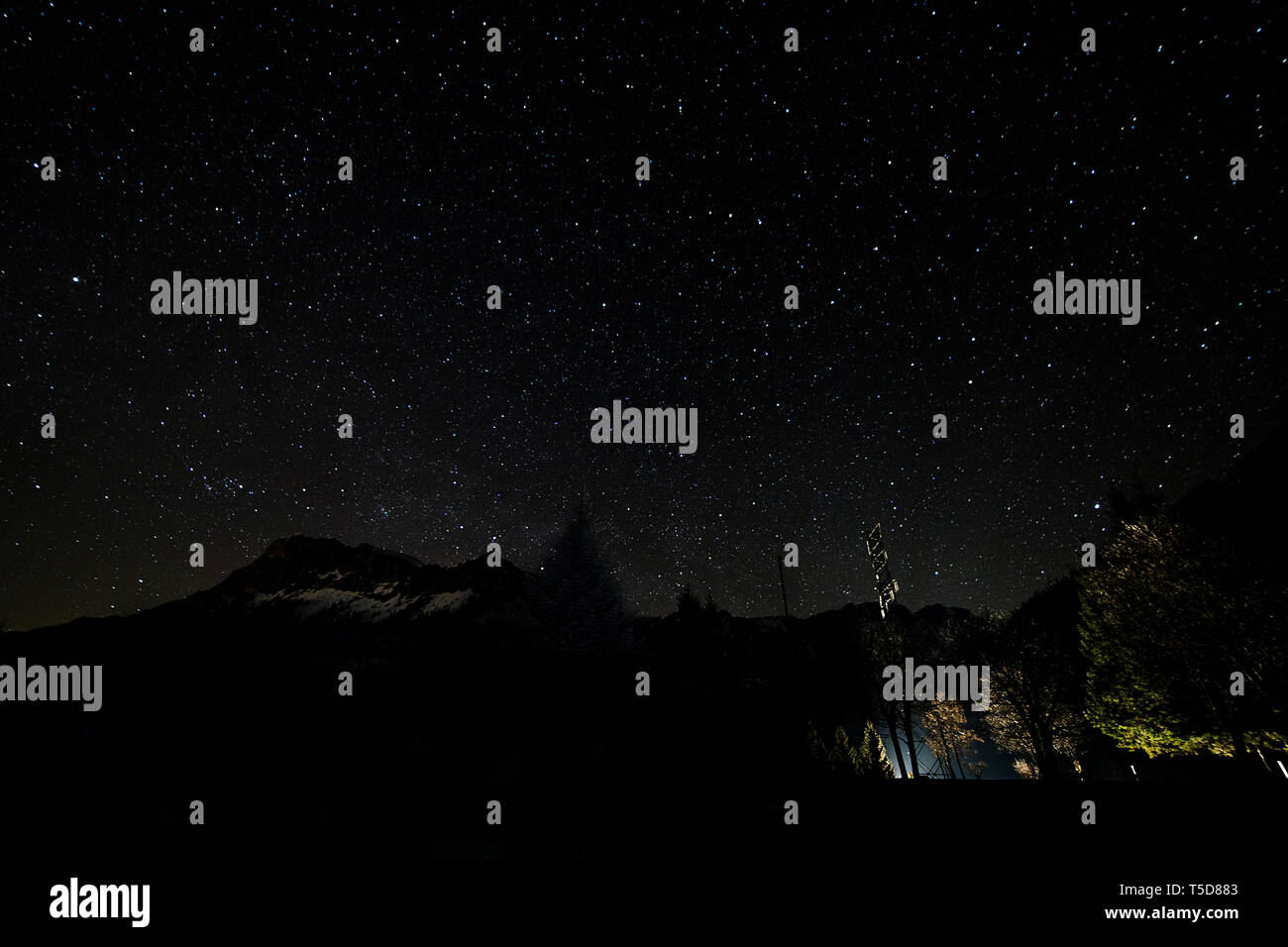 night sky star in the alps with mountains and tree silhouette in the ...