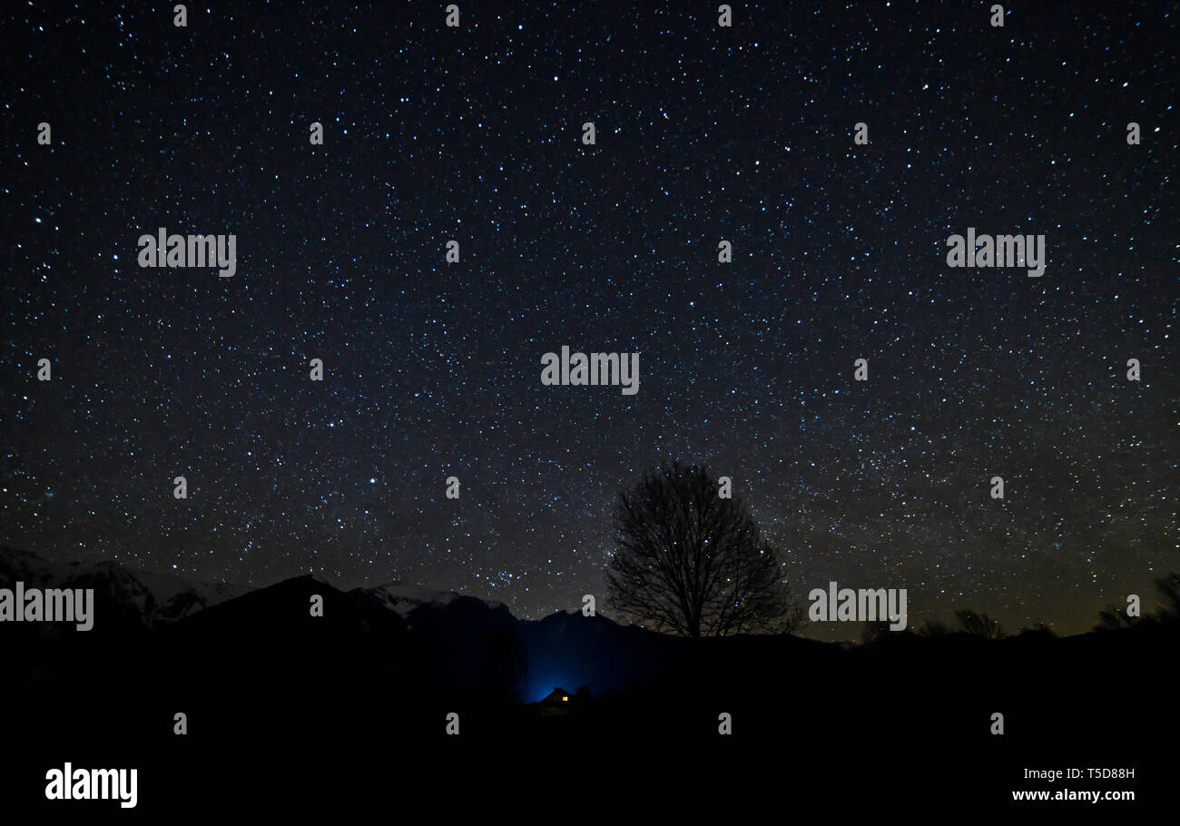 night sky star in the alps with mountains and tree silhouette in the ...