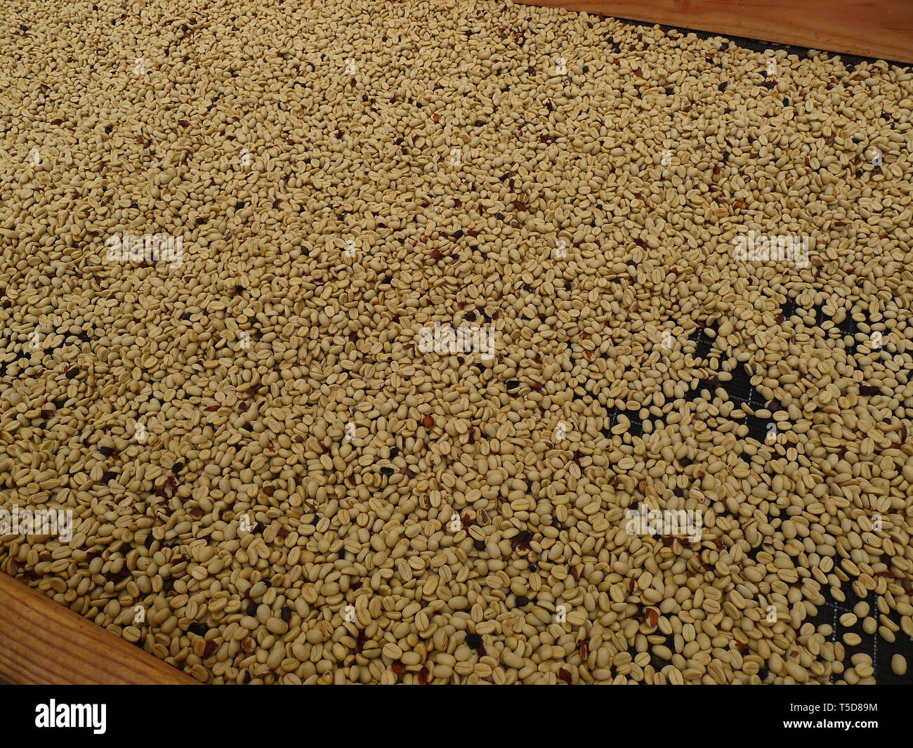 Grain drying rack hi-res stock photography and images - Alamy