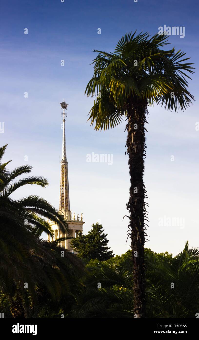 A palm tree with a tower in the background Stock Photo - Alamy