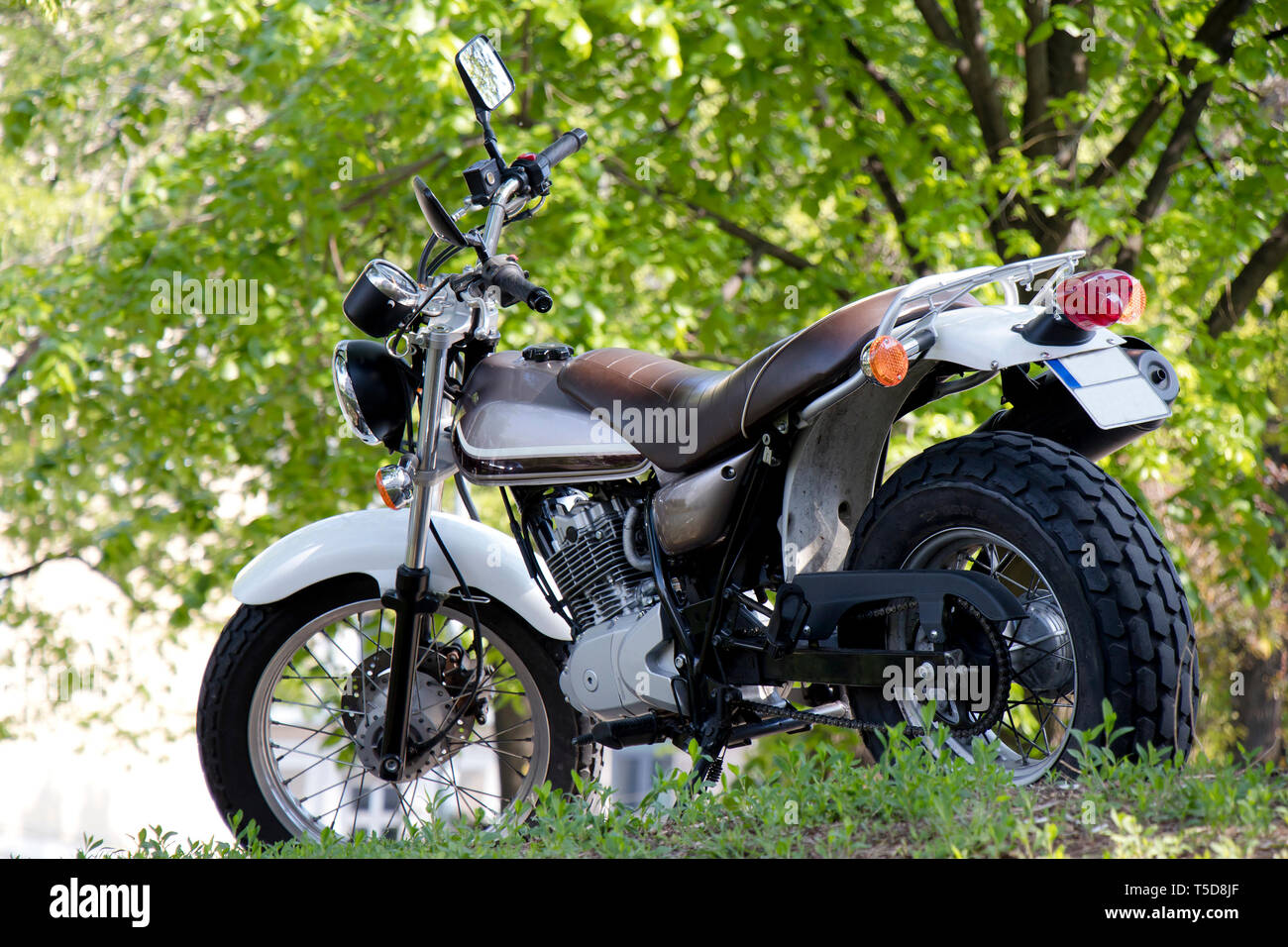 Motorbike in forest hi-res stock photography and images - Alamy