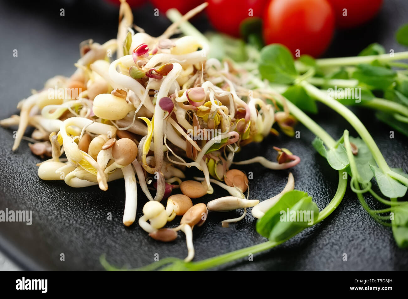 Salad of sprouted bean seeds and flax with avocado. The concept of ...