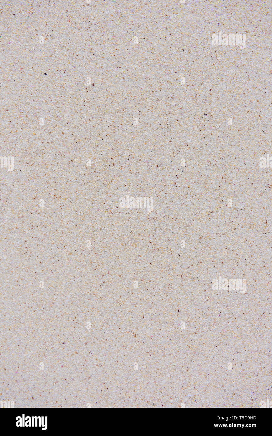 Sandy white beige grains at Seychelles beach, close-up Stock Photo - Alamy