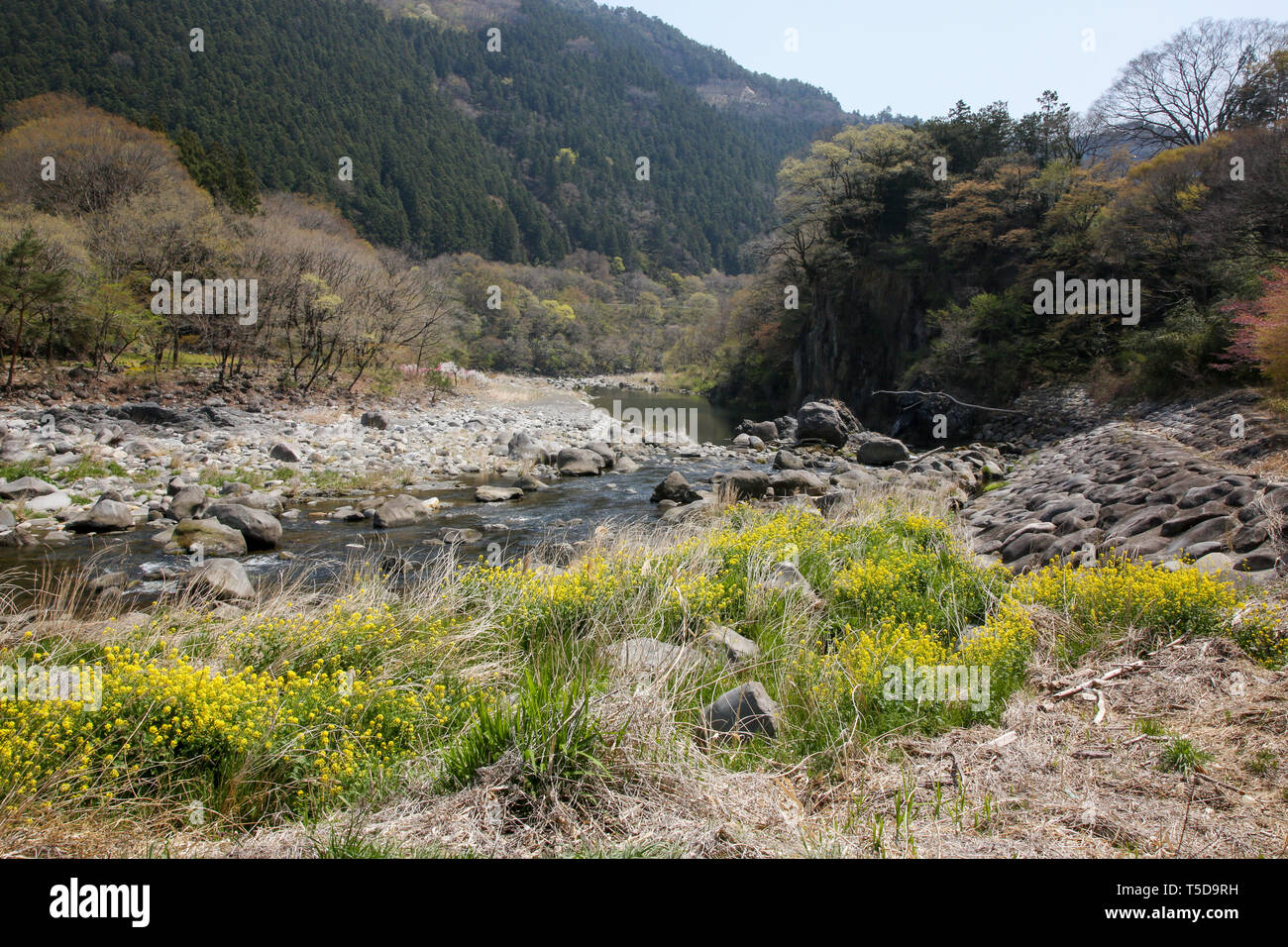 Park, Gumma prefecture, Japan Stock Photo - Alamy
