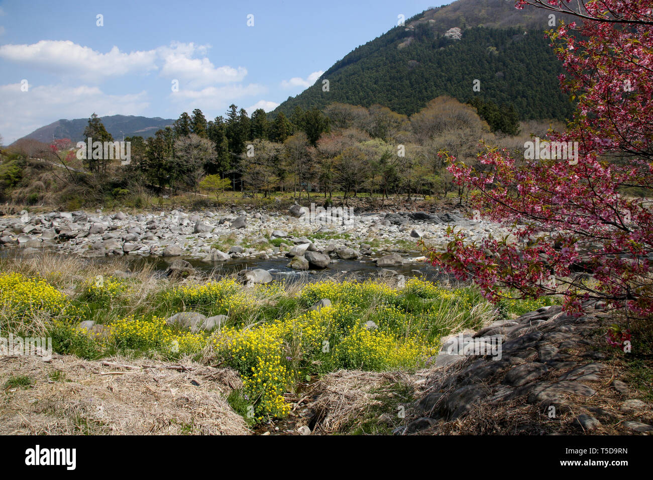 Park, Gumma prefecture, Japan Stock Photo - Alamy