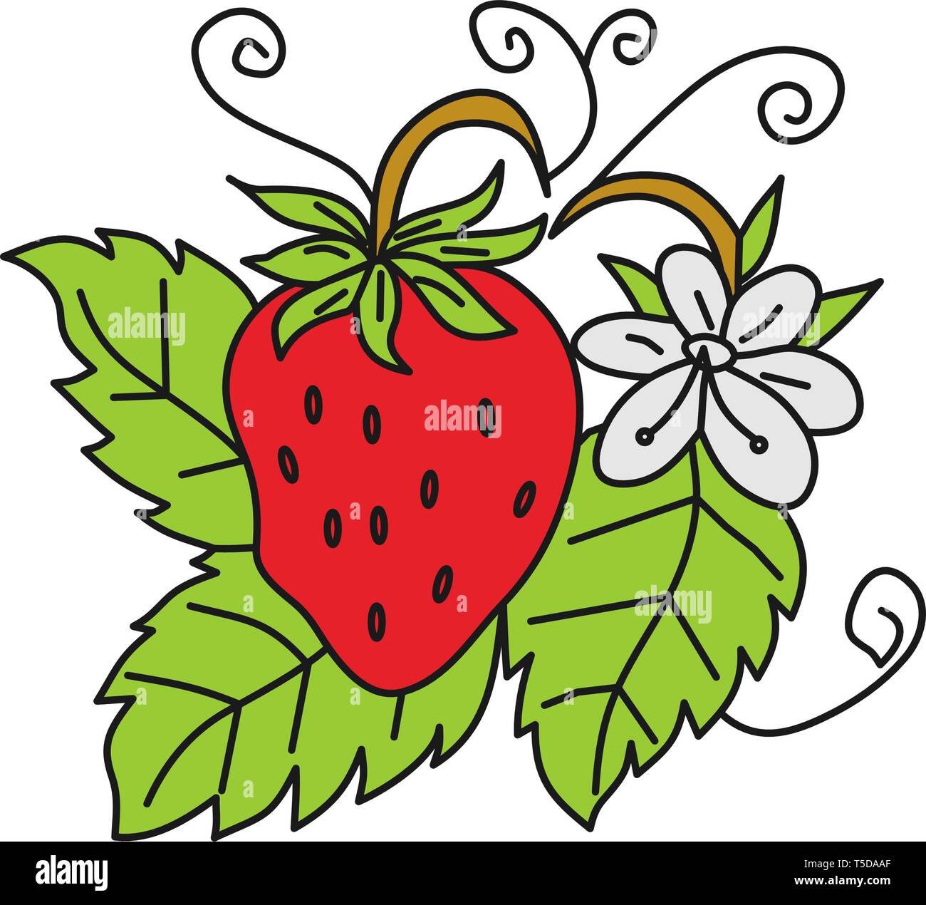 Strawberry Fruit Design Template Vector Stock Vector Image & Art - Alamy