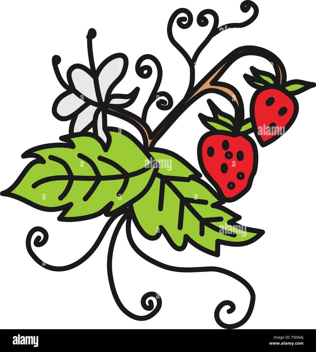 Strawberry Fruit Design Template Vector Stock Vector Image & Art - Alamy