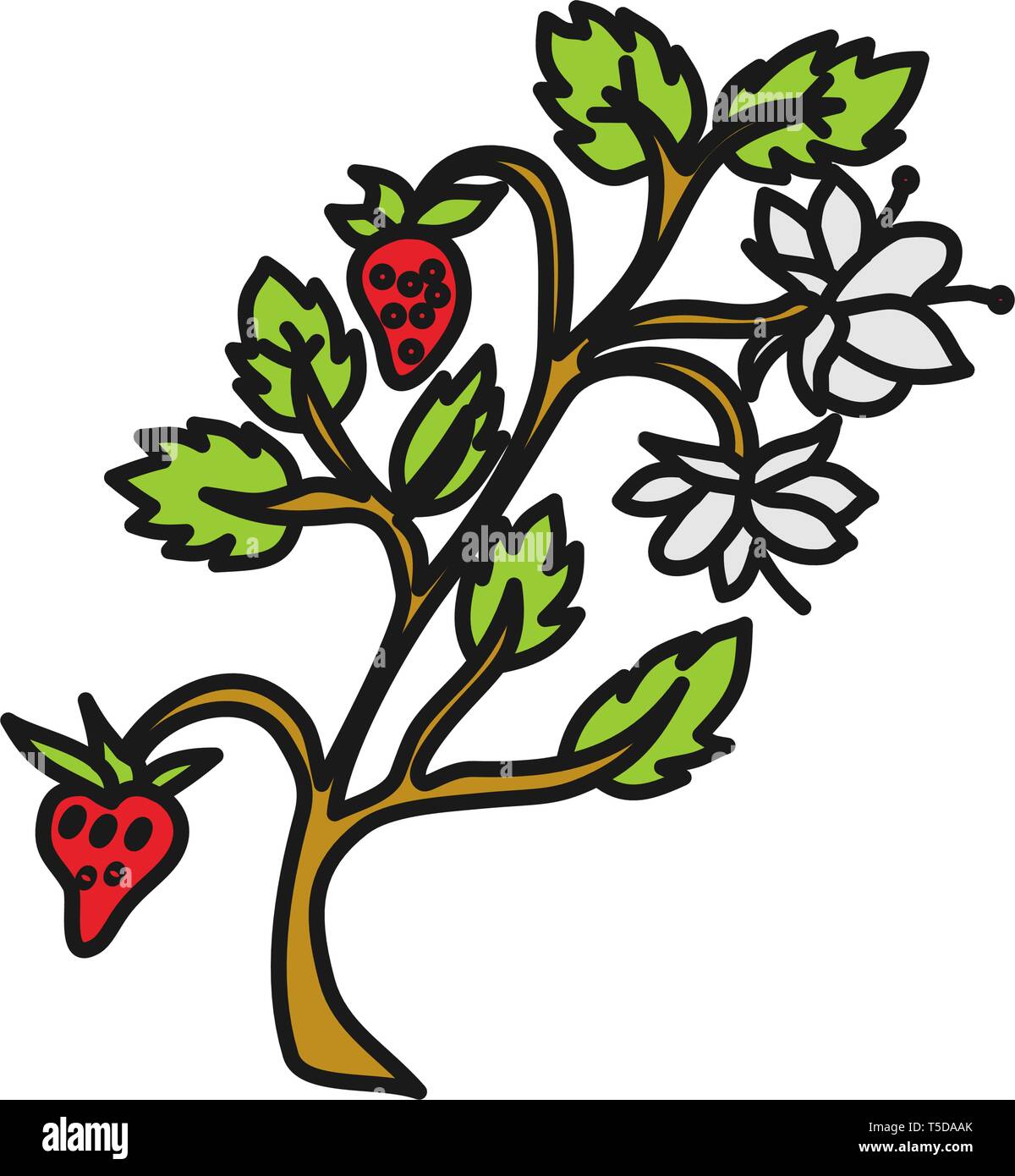 Strawberry Fruit Design Template Vector Stock Vector Image & Art - Alamy