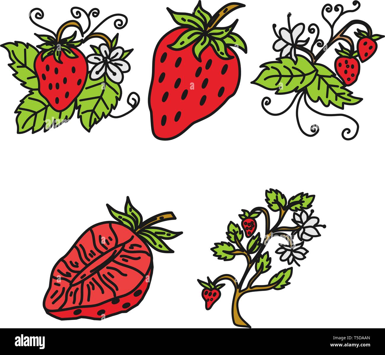 Strawberry Fruit Design Template Vector Stock Vector Image & Art - Alamy
