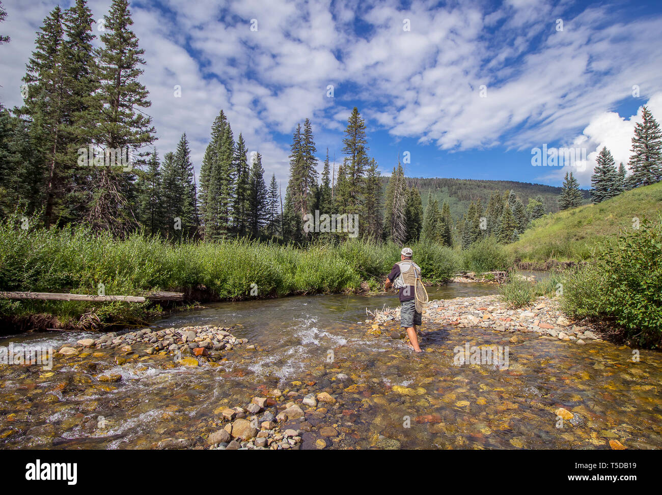 Fly Fisherman on a crystal clear Colorado high country trout stream near Telluride Stock Photo ...