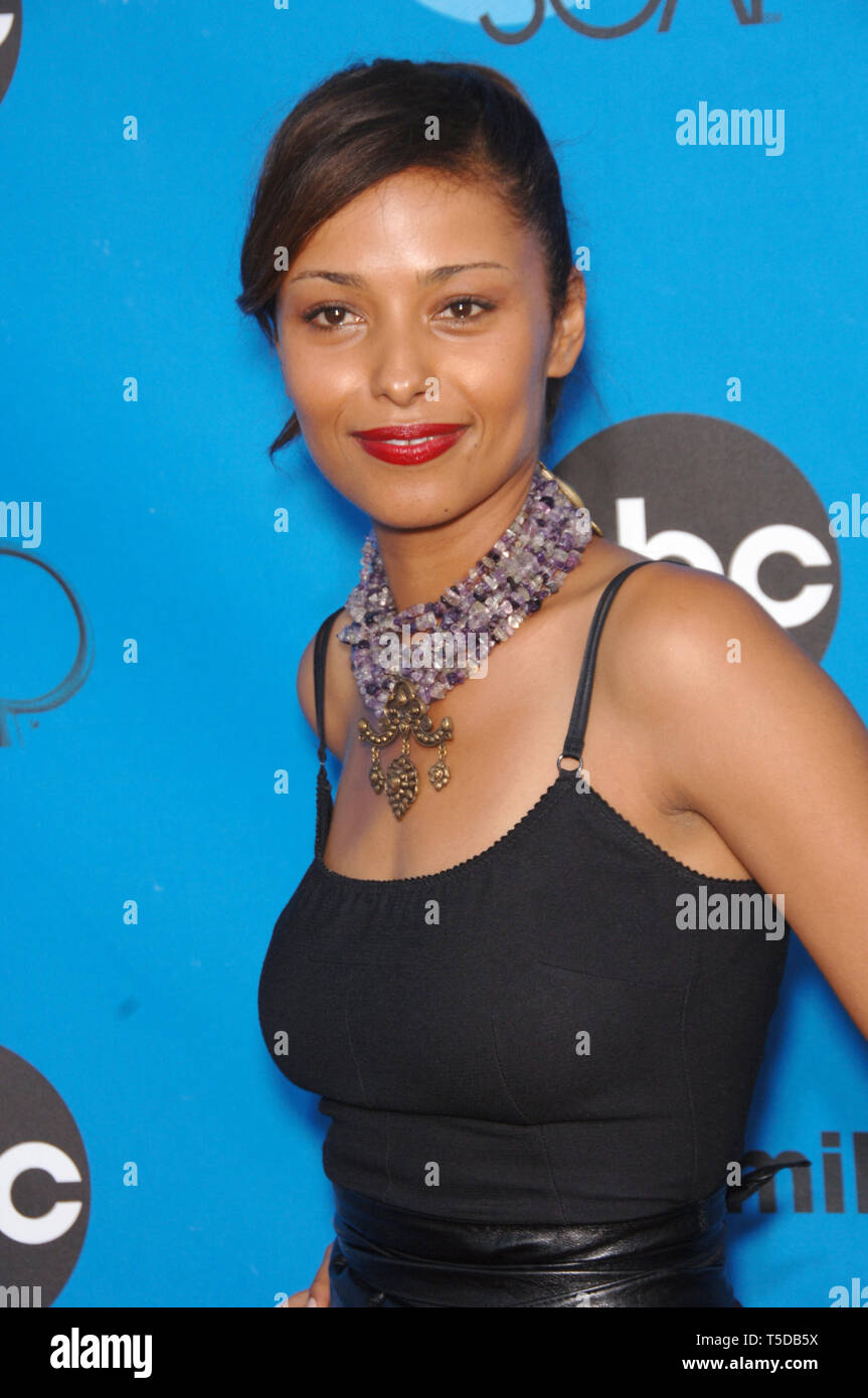 LOS ANGELES, CA. July 20, 2006: Day Break star META GOLDING at the ...