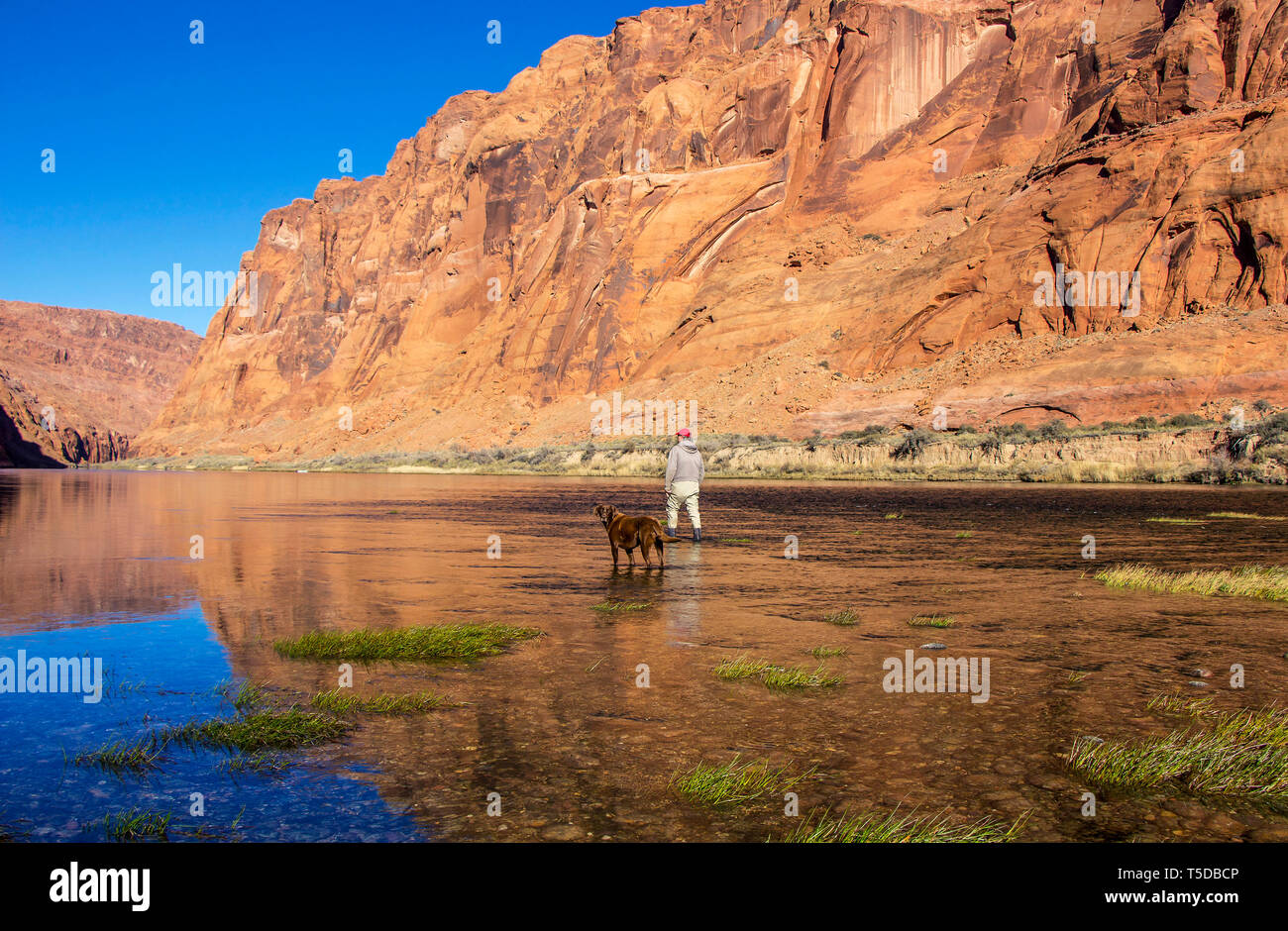 Image Fly fisherman & Dog wading in Colorado river beneath soaring ...