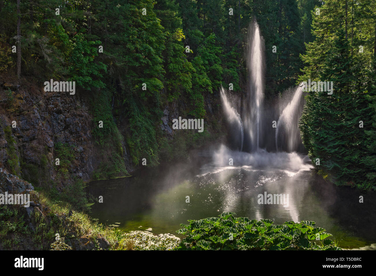 The ross fountain butchart gardens hi-res stock photography and images ...