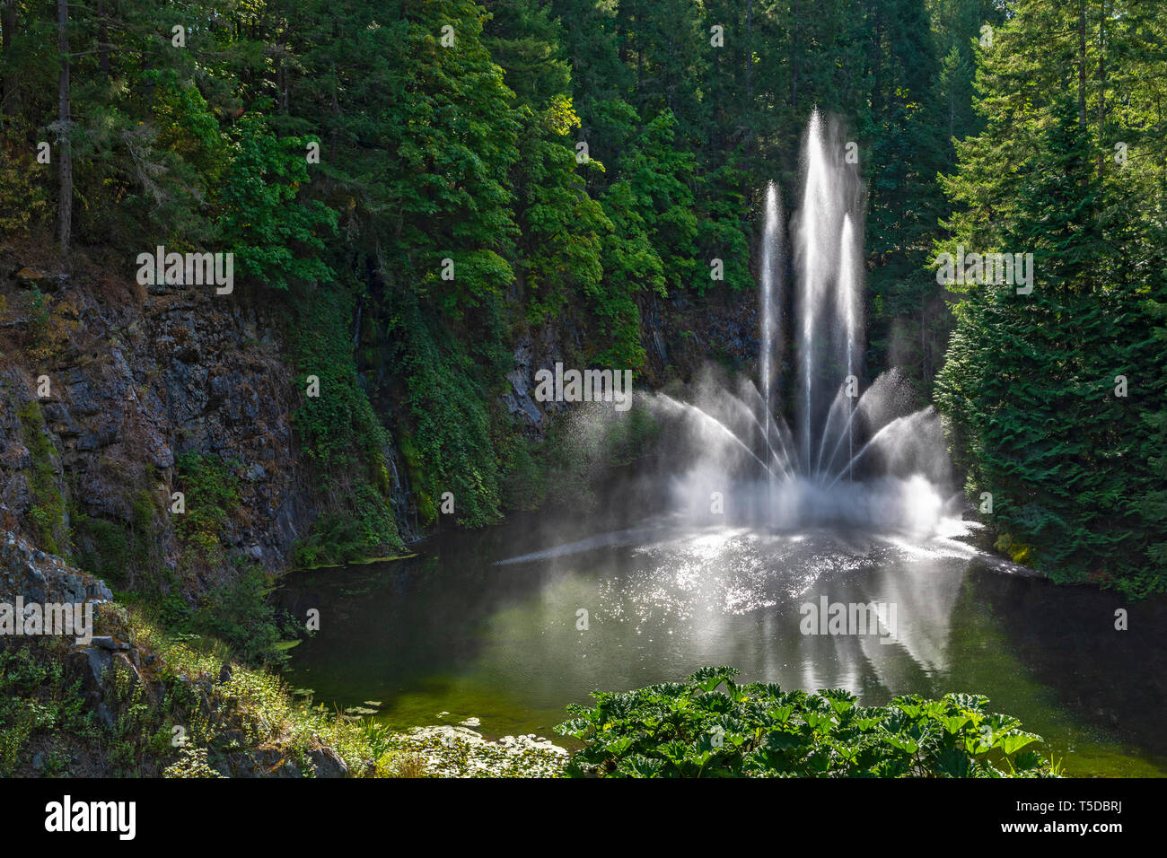The Ross Fountain Butchart Gardens Stock Photos & The Ross Fountain ...