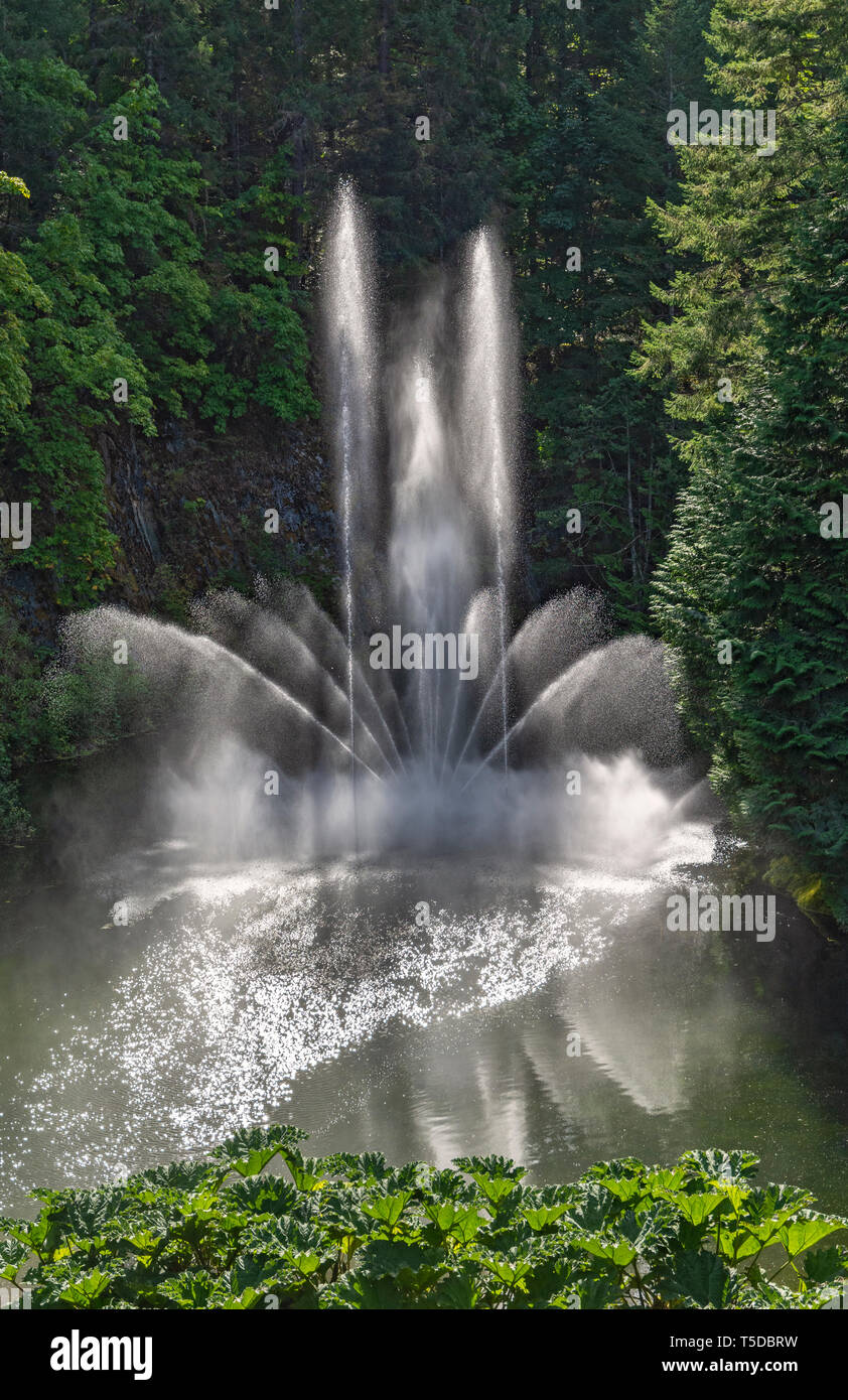 The Ross Fountain Butchart Gardens Stock Photos & The Ross Fountain ...