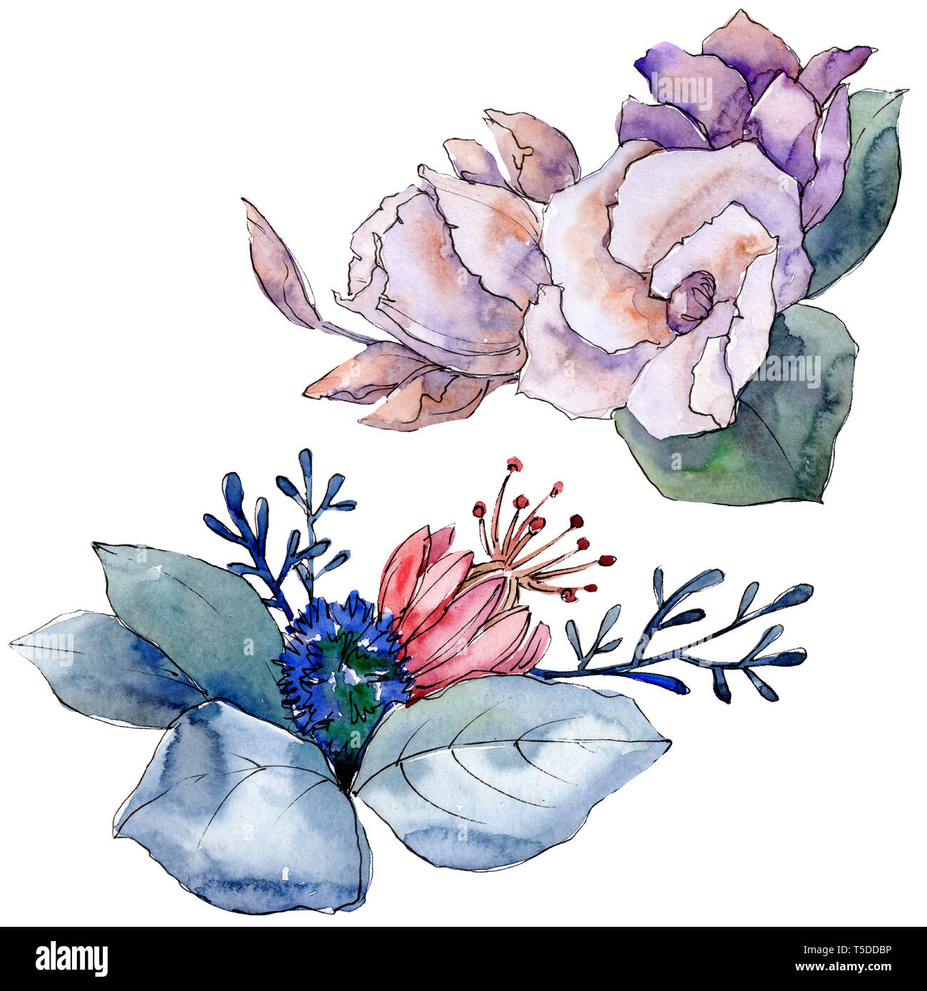 Bouquet floral botanical flowers. Watercolor background illustration ...