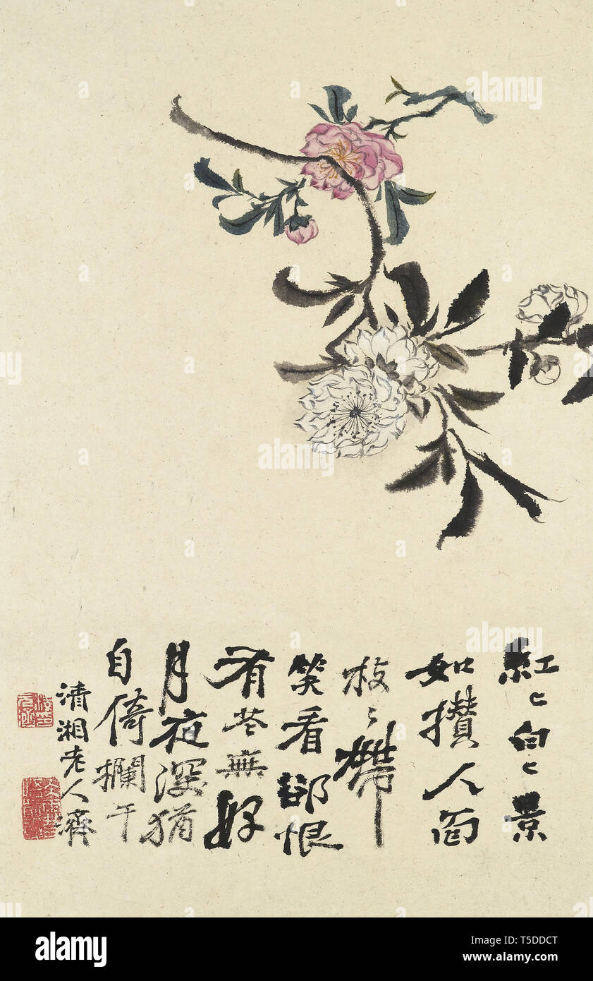 Qing Dynasty Shi Tao, "Flower Ten Frames Stock Photo - Alamy